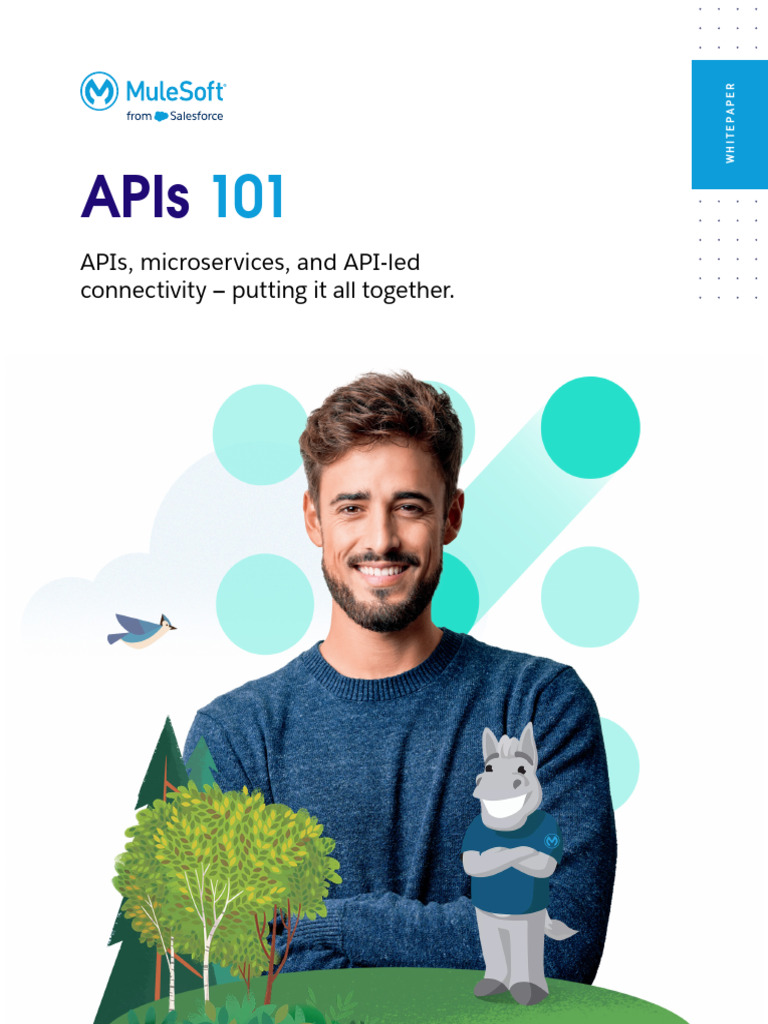 Whitepaper - APIs 101 - MuleSoft | PDF | World Wide Web | Internet & Web