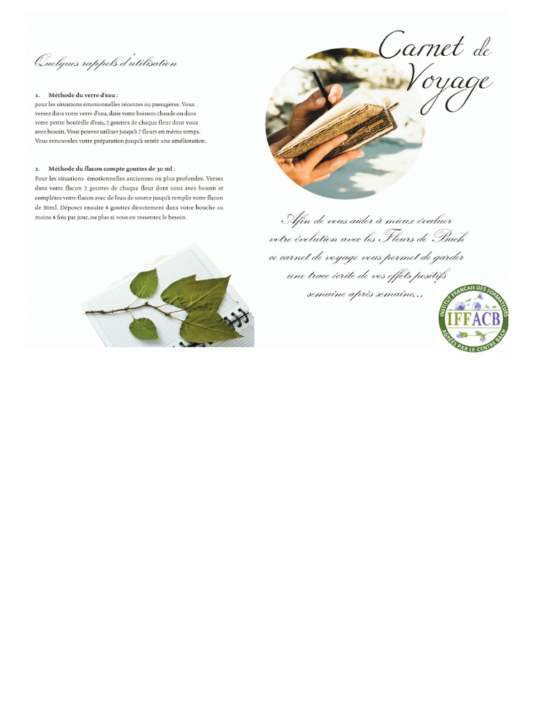 Carnet de Voyage | PDF