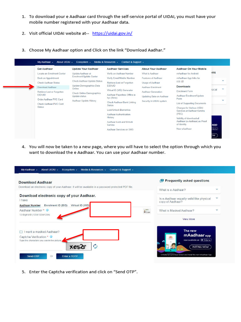 Steps To Download E-Aadhaar | PDF