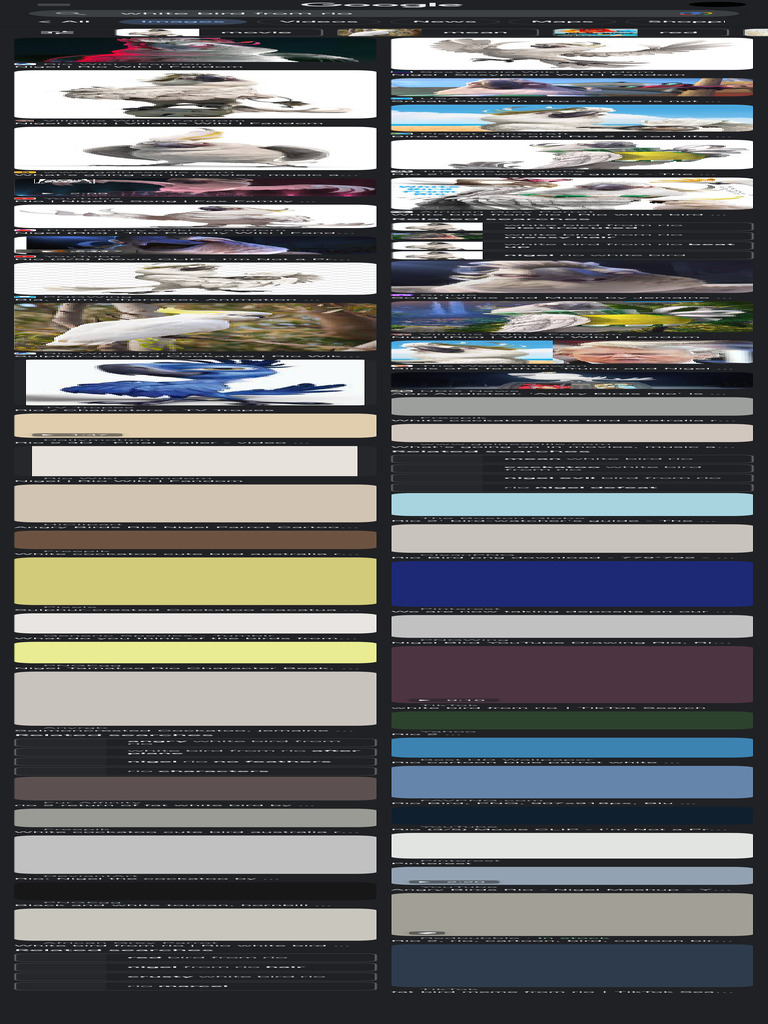 white bird from rio - Google Search | PDF | Birds | Ornithology