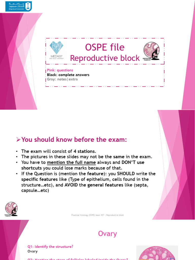 Histology - OSPE File - Reproductive Block | PDF | Epithelium | Ovary