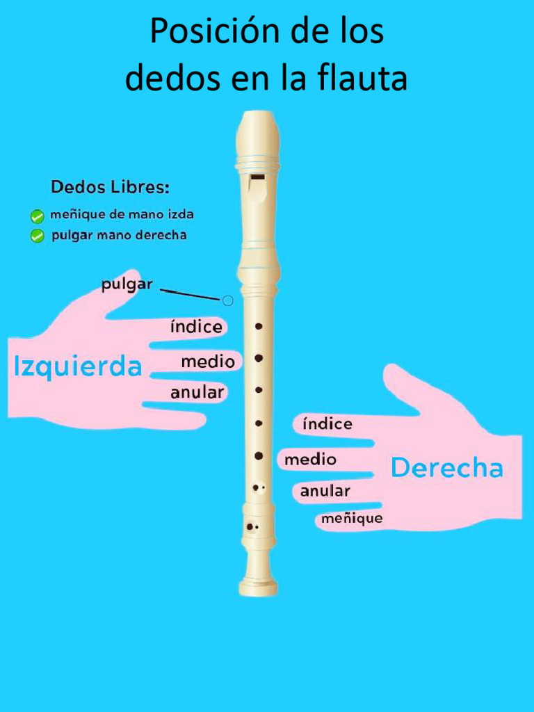 Flauta Posicion Dedos | PDF