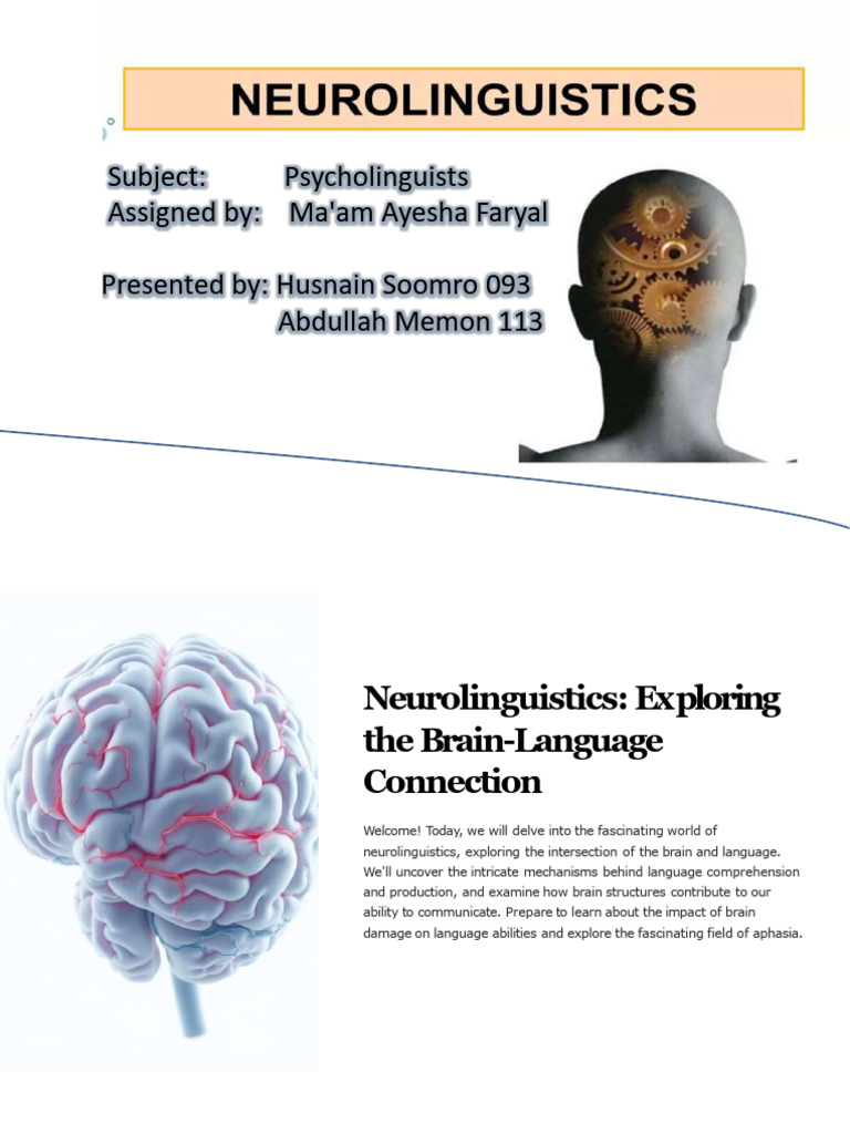 Neurolinguistics-Exploring-the-Brain-Language-Connection | PDF | Aphasia | Neurolinguistics