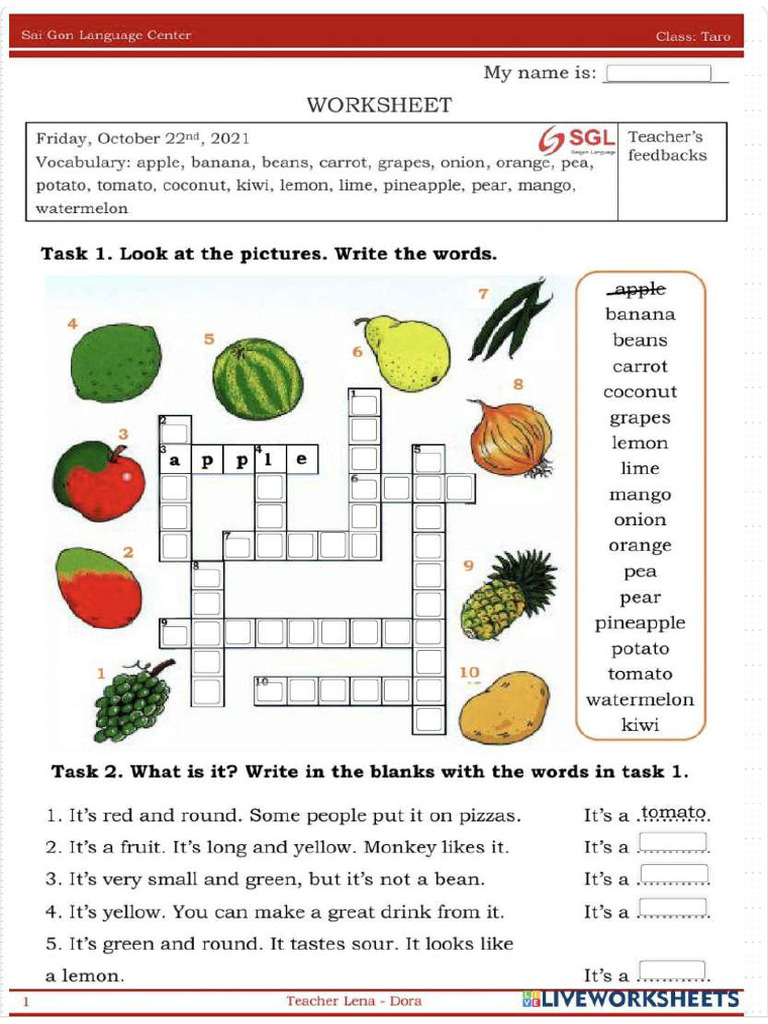 BT&HW A1 12 - 11 - 2024 | PDF