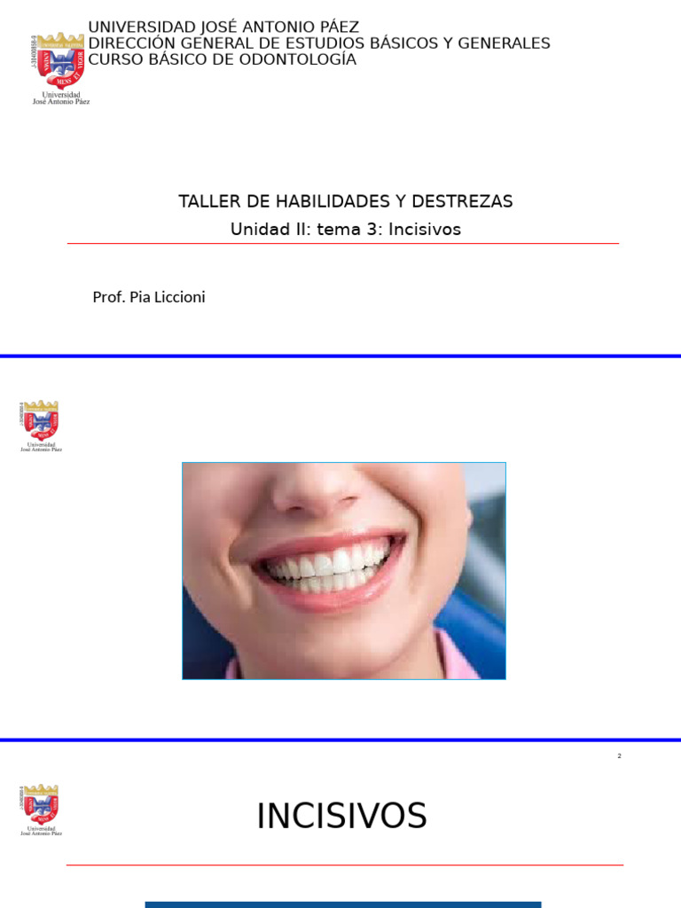 Tema 3 Dientes Incisivos | PDF | Ramas de Odontología | Boca