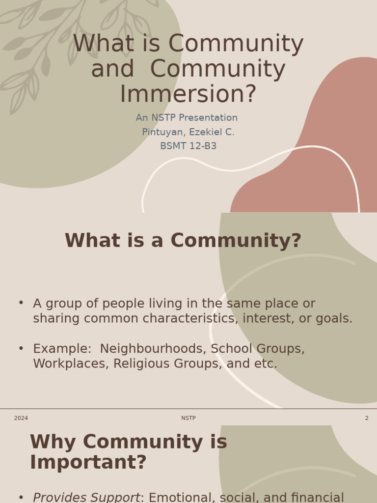 What Is Community and Community Immersion | PDF | Community | Leadership
