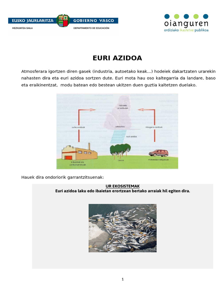 EURI AZIDOA | PDF