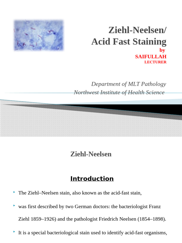 11.Zn Staining | PDF | Staining | Laboratory Techniques