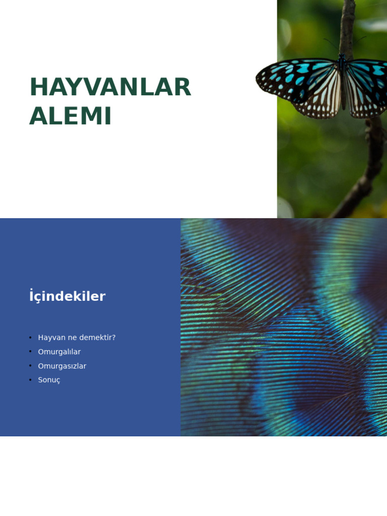 Hayvanlar Alemi | PDF