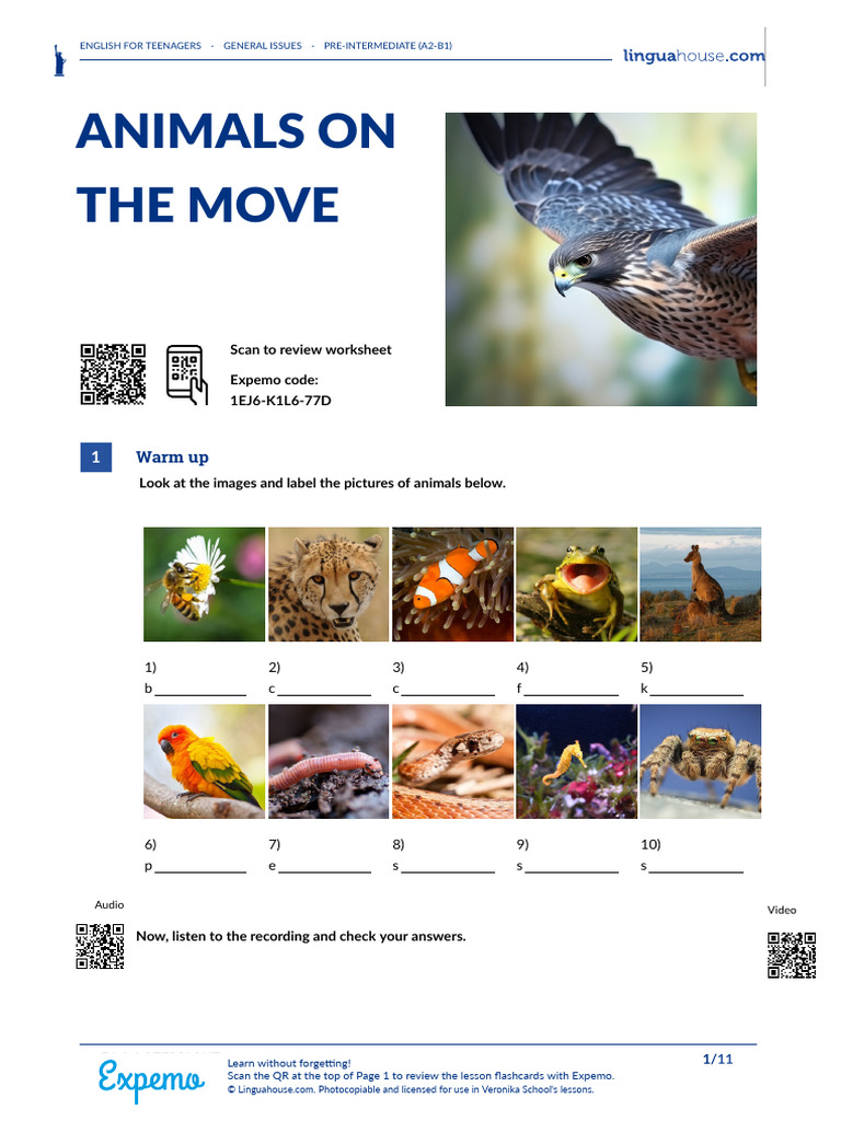 Animals on the Move: A2-B1 Worksheet | PDF | Adverb | Birds