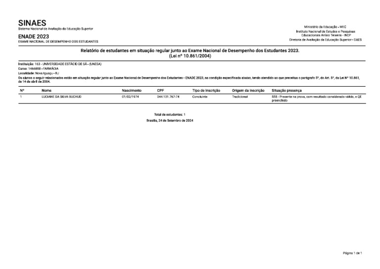 Relat_rio_Luciane (1) | PDF