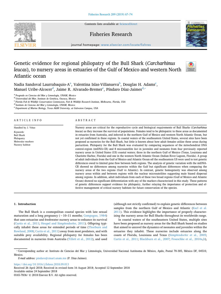 Bull Shark Philopatry in Gulf & Atlantic | PDF | Microsatellite ...