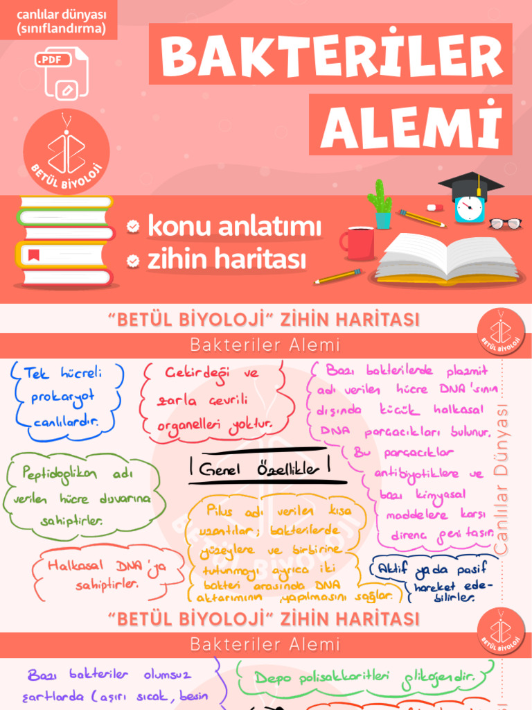 Betül Biyoloji Bakteriler Alemi | PDF