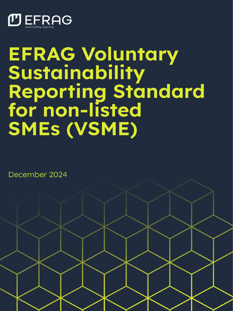 VSME Standard | PDF