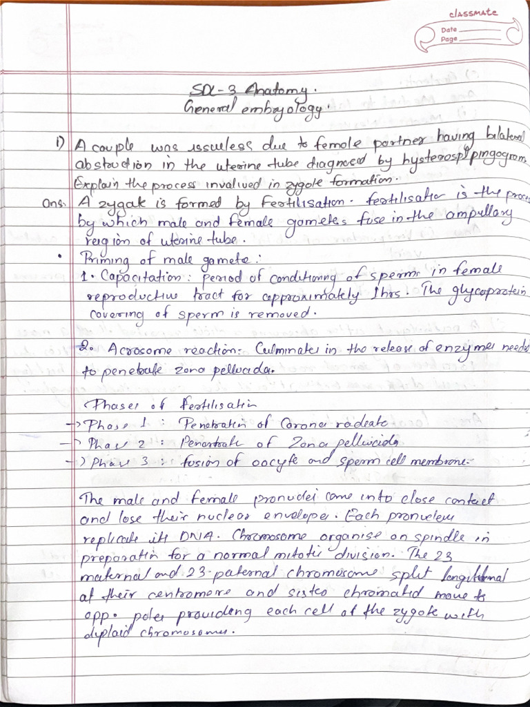 Anatomy 3 SDL | PDF