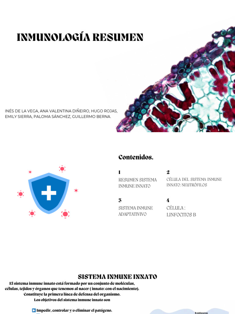 si innato | PDF | Sistema inmune innato | Sistema inmune