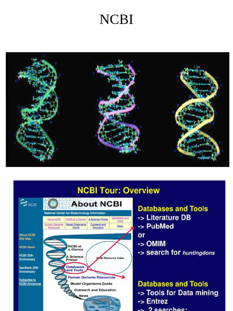 Lecture 4 Ncbi Database | PDF | National Center For Biotechnology ...