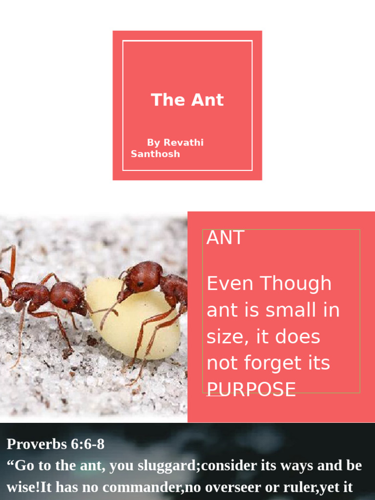 The Ant: by Revathi Santhosh | PDF