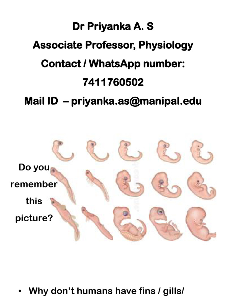 PY1.4 Describe Apoptosis - 2024 Mbbs | PDF | Apoptosis | Caspase