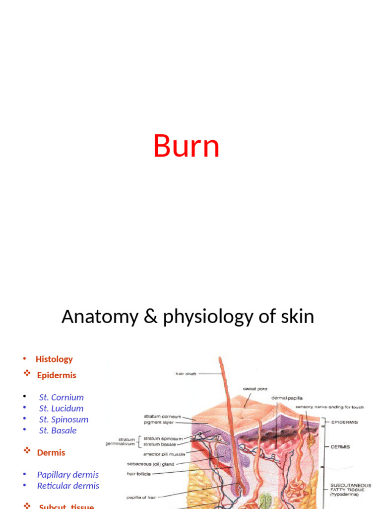 5) burn | PDF | Burn | Skin