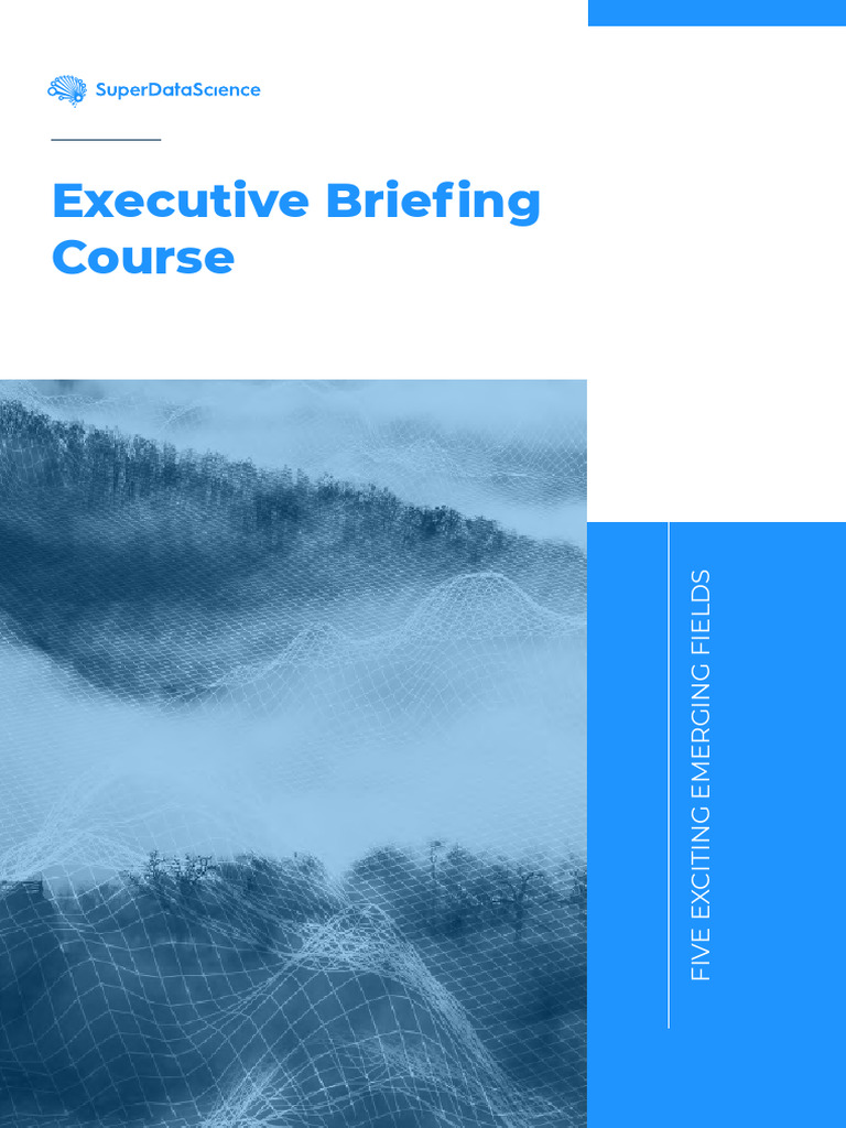 Playbook Executive Briefing Artificial Intelligence Pdf Deep
