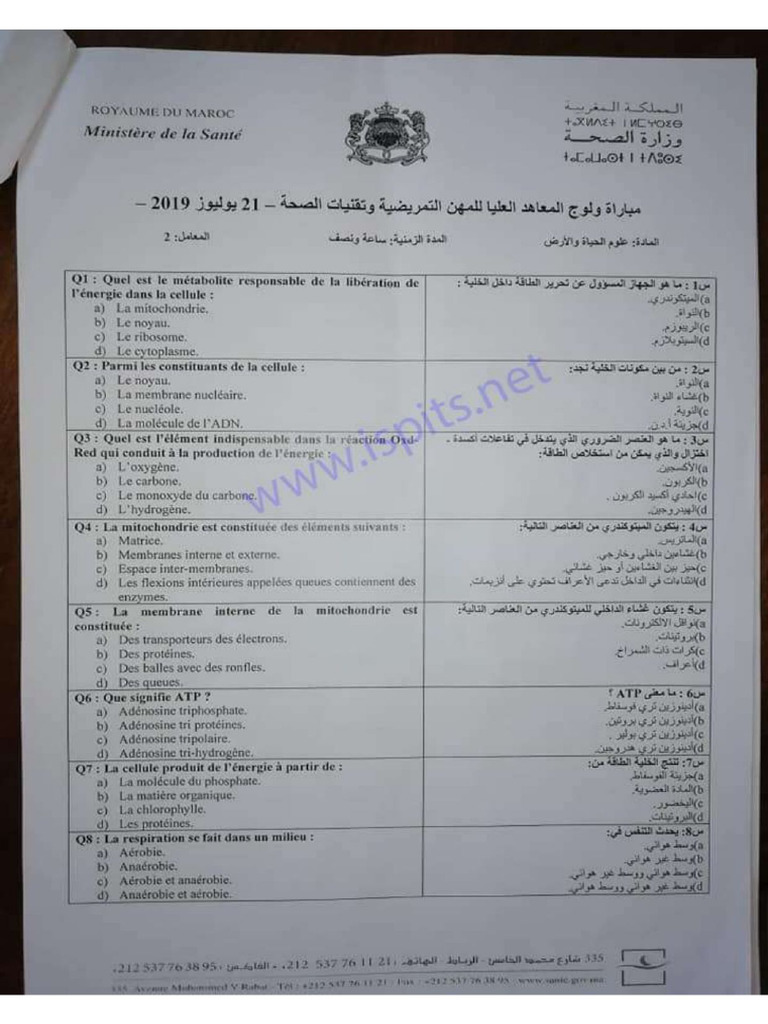 Concours Ispits Svt 2019 2020 | PDF