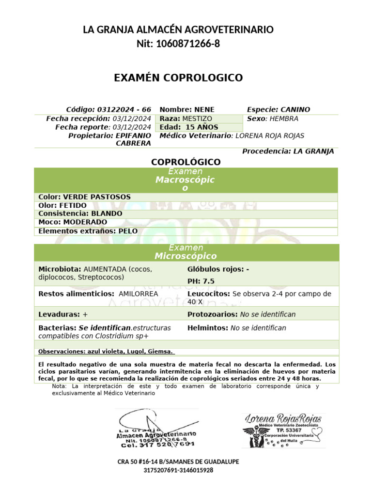 Resultados de Examen Coprológico Canino | PDF