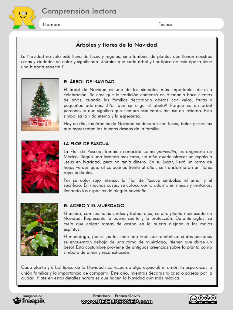 Plantas y árboles en Navidad | PDF | Navidad | Árbol de Navidad