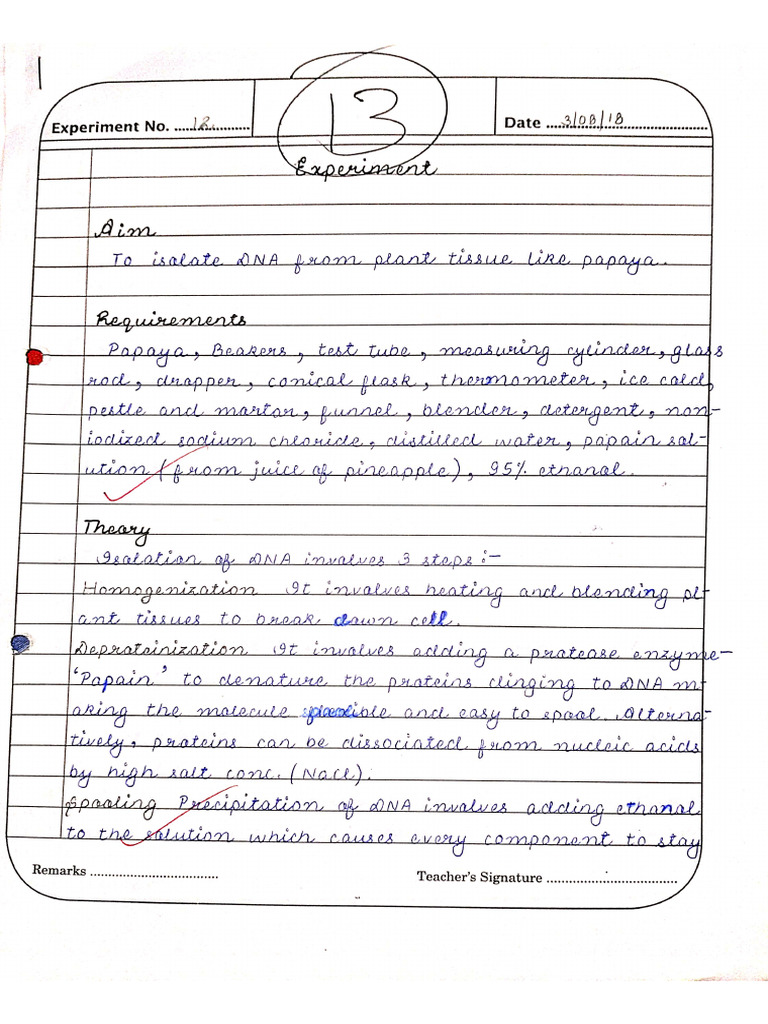 Practical 13 (Bio) | PDF