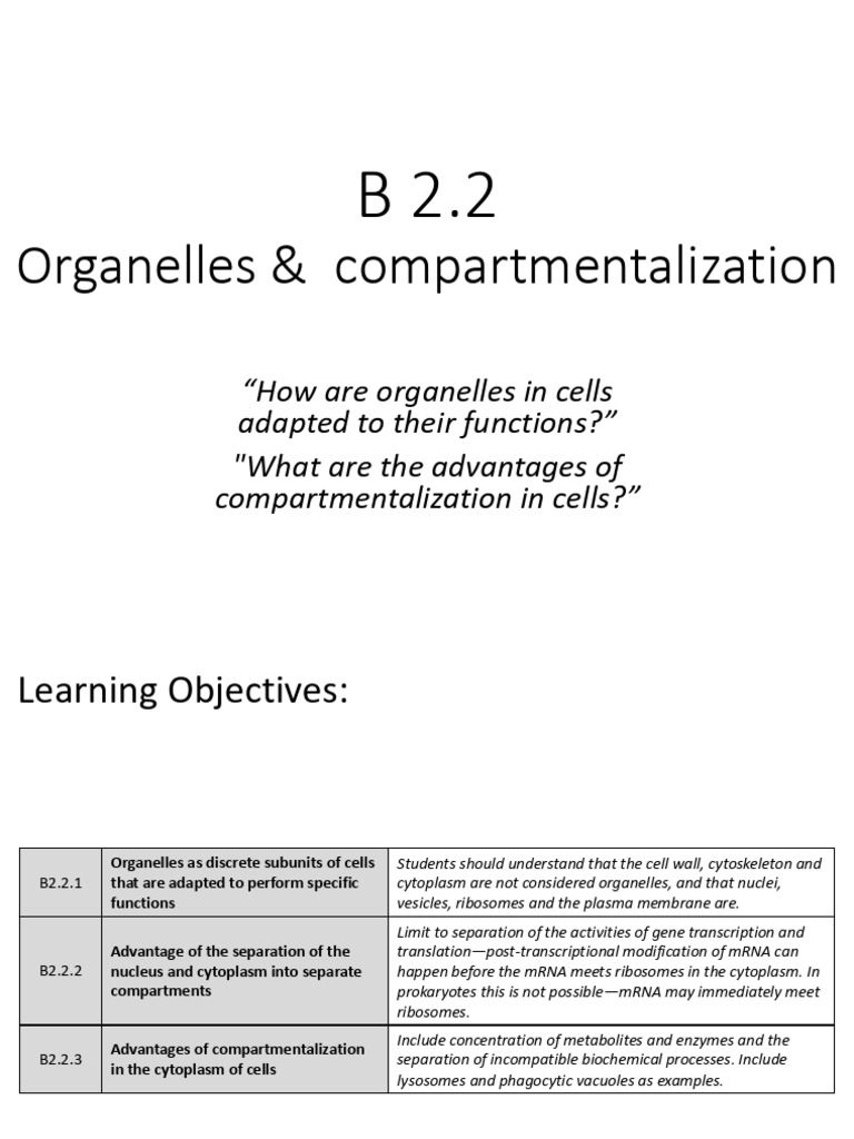 B 2.2 SL Organelles and Compartmentalization | PDF | Cell (Biology ...