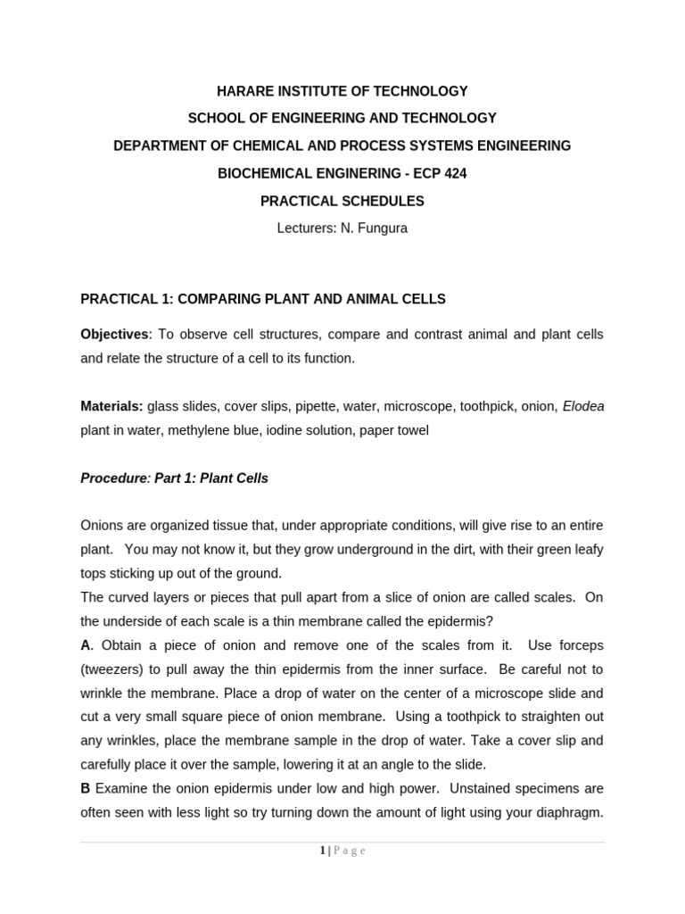 Bio Eng Practical Schedule | PDF | Microscopy | Laboratory Techniques