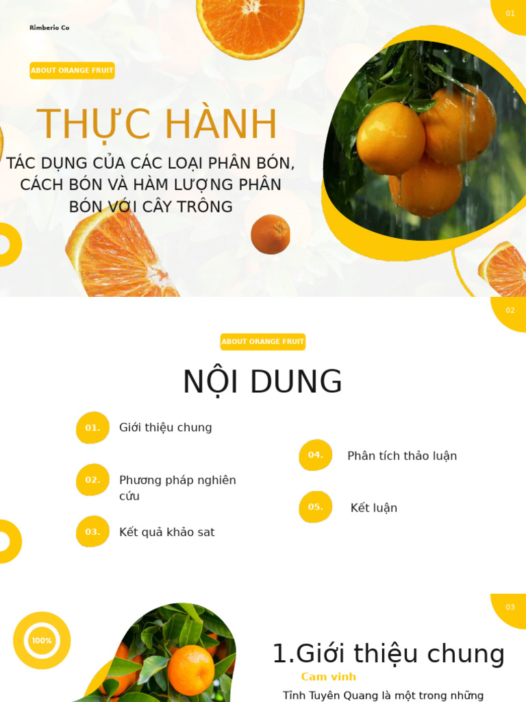 Yellow Organic Shape Orange Presentation | PDF