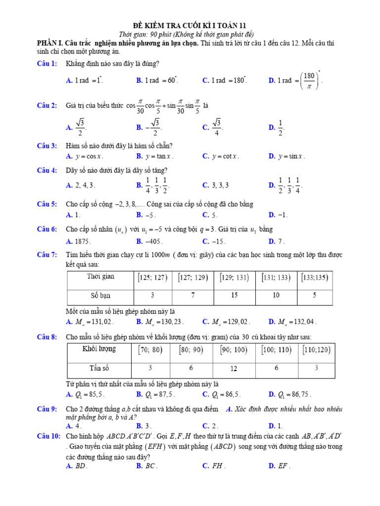 Đề 1 CK1 (lớp 11) | PDF