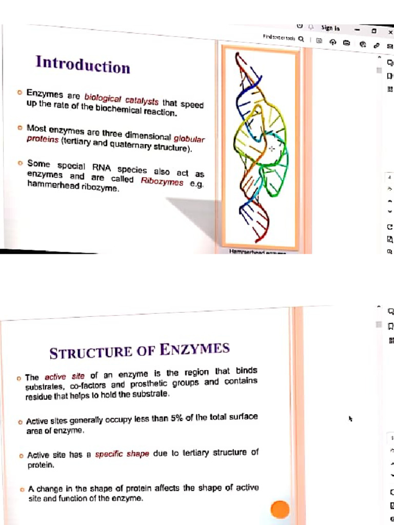 Enzymes Slide (1) | PDF