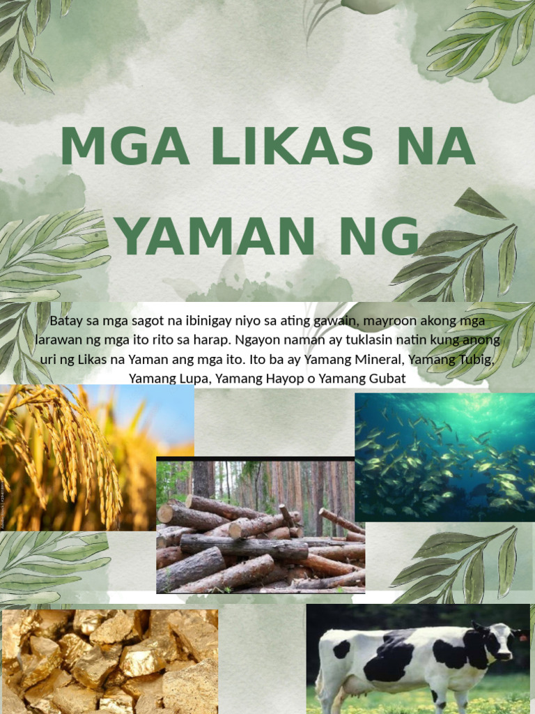 Mga Likas Na Yaman Nga Asya (Caber) | PDF
