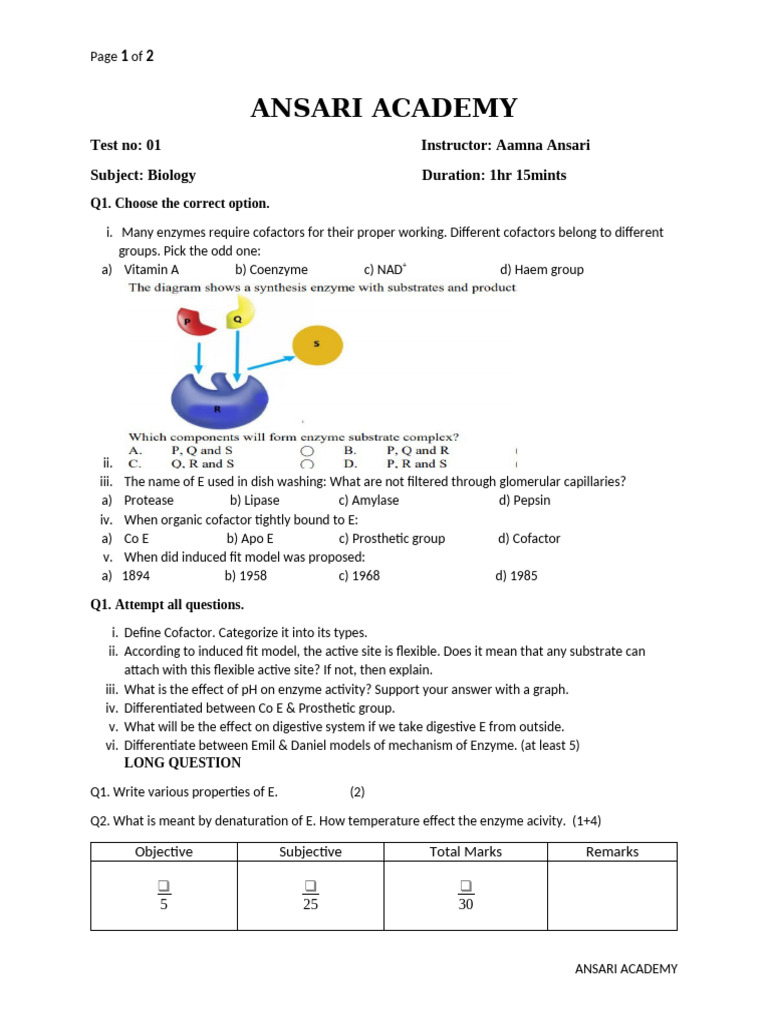 Biology Class 9 Enzyme | PDF