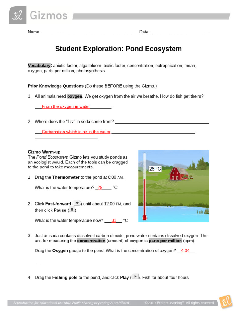 Pond Ecosystem SE | PDF | Nature | Ecology