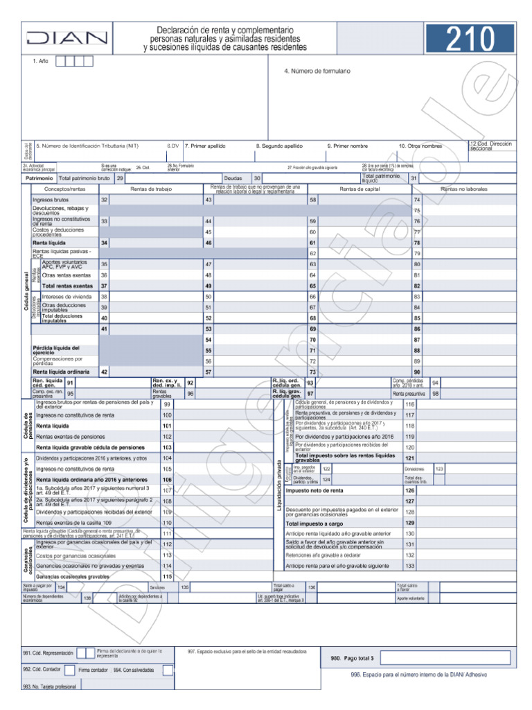 Formulario_210_2024 | PDF | Costo de la vida | Pensión