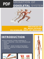 7 Muscle Length Testing | PDF | Anatomical Terms Of Motion | Pelvis