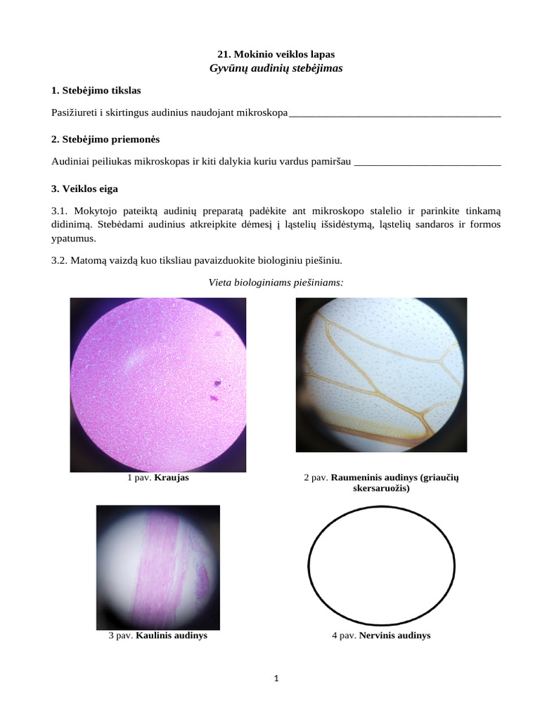 21. Mokinio veiklos lapas (1)nh | PDF