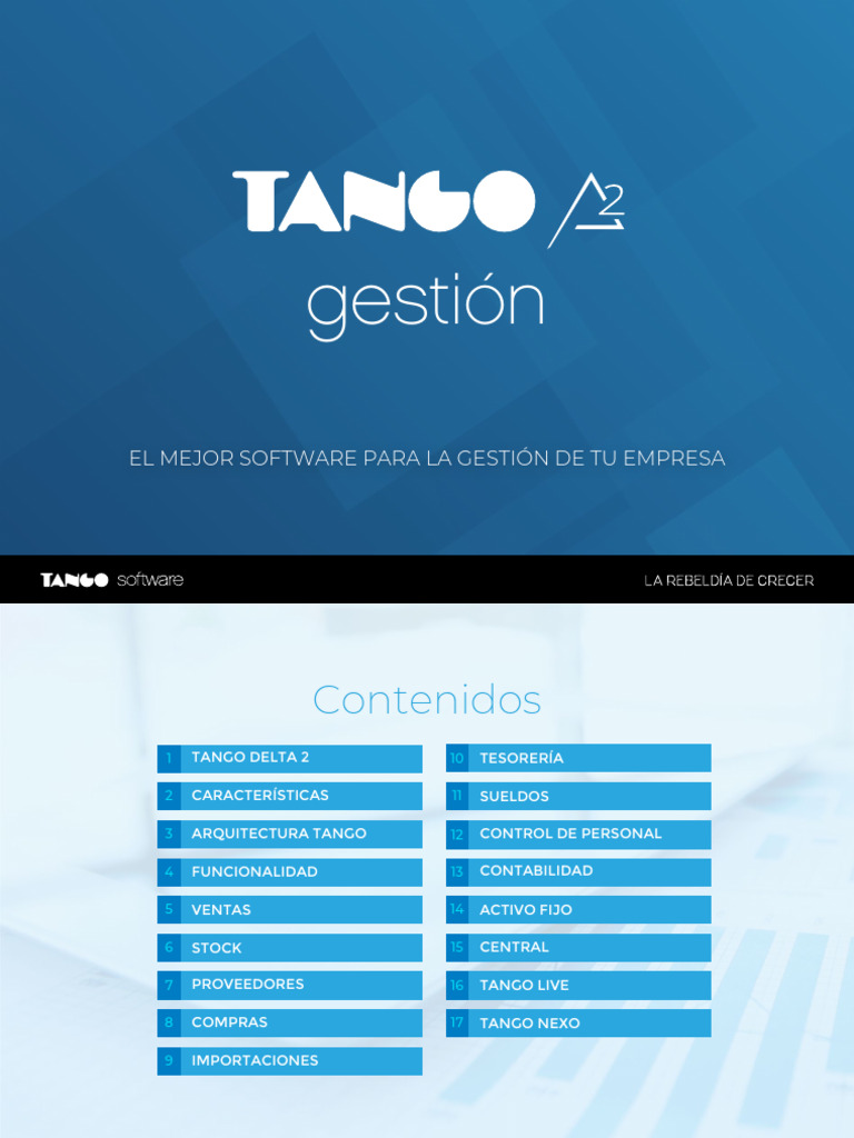 Tango Gestion Delta2 | PDF | Contabilidad | Software de la aplicacion