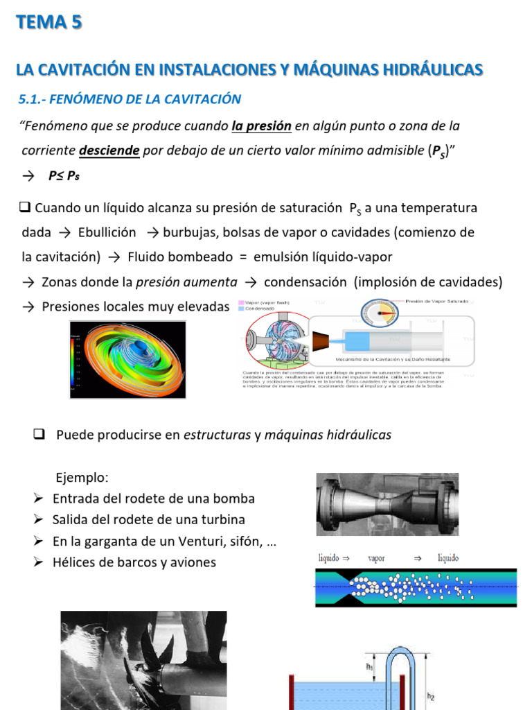 Tema 5 IMH 23-24 | PDF