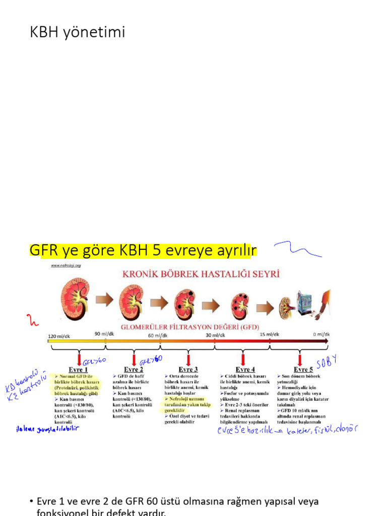 Asistan Nefroloji KBH Yönetimi | PDF