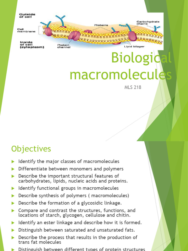 Biochemistry Slides Notes | PDF | Glycolysis | Adenosine Triphosphate