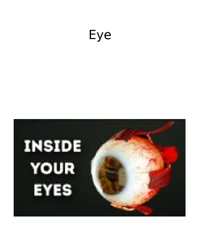 Eye - Copy | PDF
