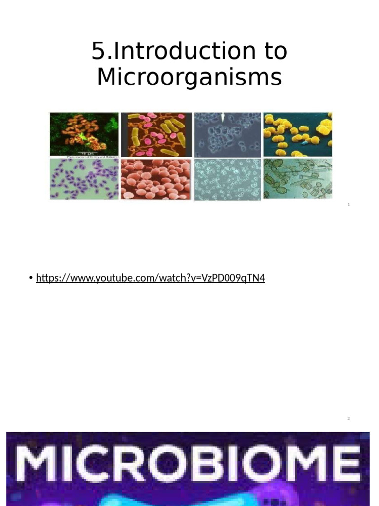 Introduction To Microorganisms Grade 6 | PDF | Cell (Biology ...