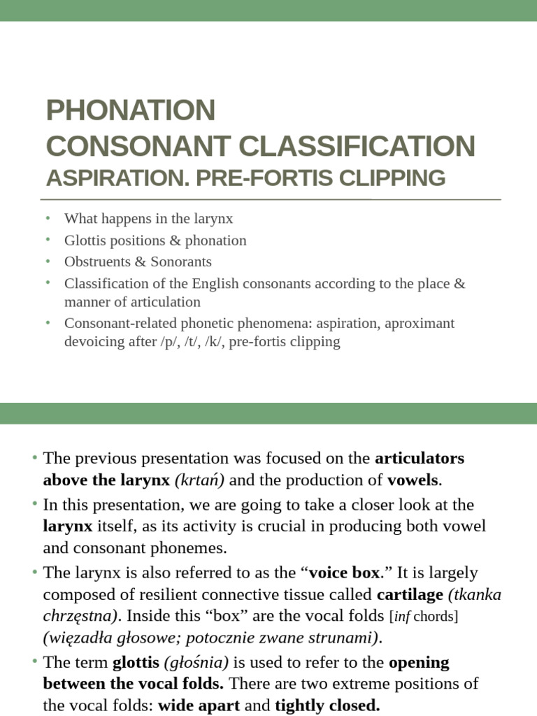 Consonant Classification 2 | PDF | Consonant | Phonetics