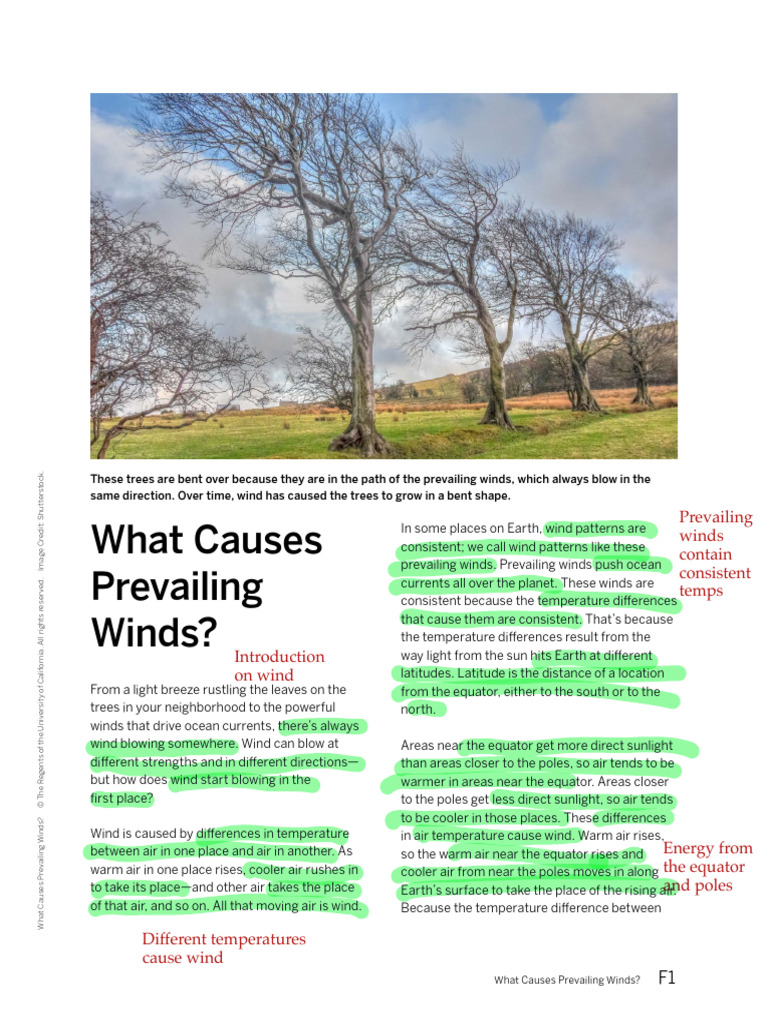 Understanding Prevailing Winds | PDF | Wound | Physical Geography