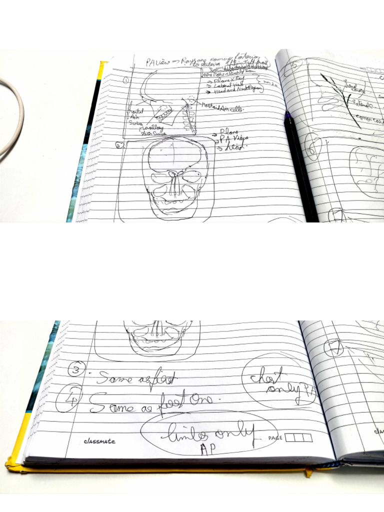 Radiology Charts 2 | PDF