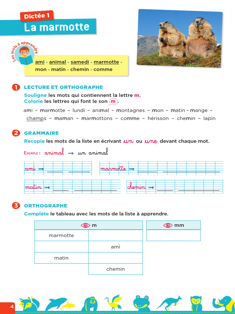 En Route Pour La Dictee CE1 Animaux Cahier | PDF